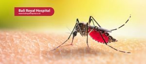 Memahami bintik-bintik merah pada pasien DBD